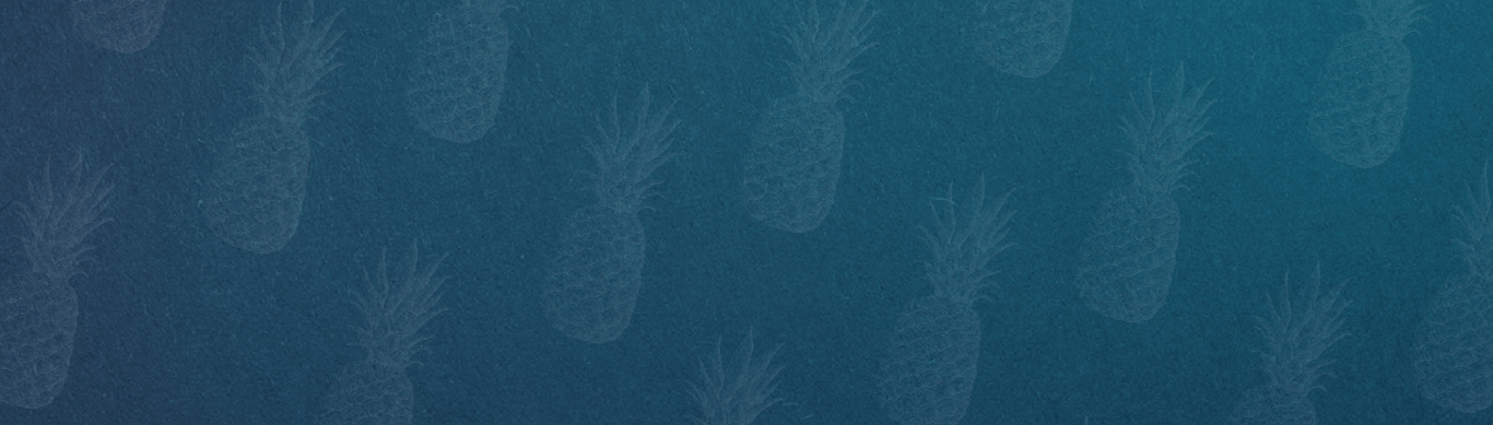 Which brands do we work with?