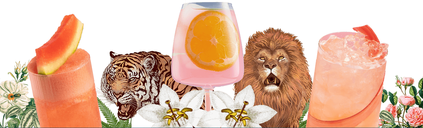 Which brands do we work with?